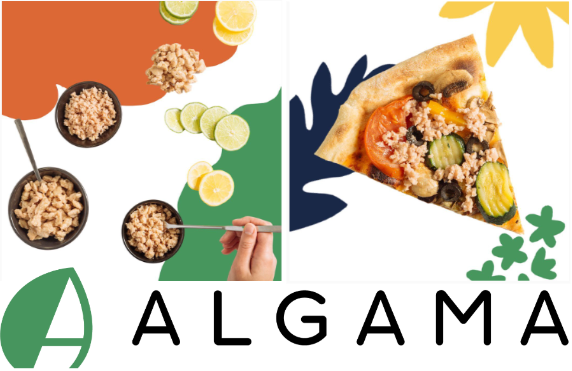 Seafood Media Group - Worldnews - Thai Union Corporate Venture Fund Invest in French Algae ...